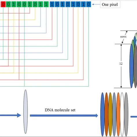 Demonstration Model Of 12 Layer Dna Molecular Structure Generation By
