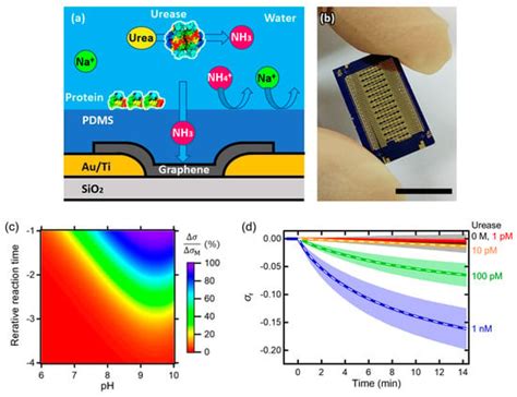 Challenges For Field Effect Transistor Based Graphene Biosensors