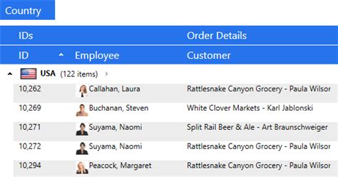Xceed Business Suite For Wpf V22 3