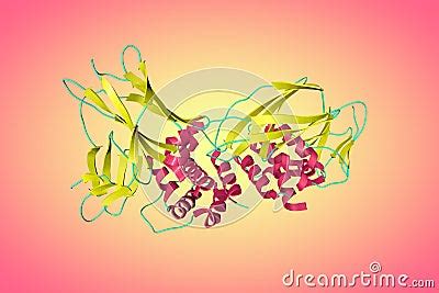 Crystal Structure Of Human Interleukin 3 In Complex With Receptor