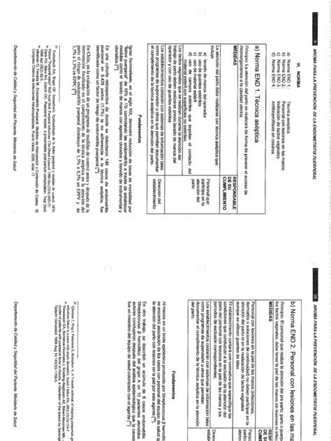 Endometritis Puerperal Pdf