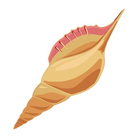 조개 벡터 일러스트 로고 아이콘 클립 아트 벡터 결혼식 해변 프리미엄 벡터