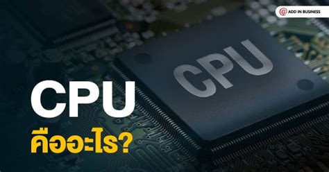 Cpu คือ อะไร ทำหน้าที่อะไร มีส่วนประกอบอะไรบ้าง มีกี่ประเภท