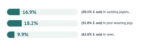 Streptococcus Suis Global Swine