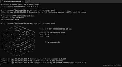 mysql与redis服务器配置及vue前端开发常见问题解决指南 csdn博客