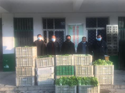 河南省镇平县彭营镇爱心捐赠助力防疫澎湃号·政务澎湃新闻 The Paper