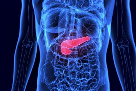 Researchers Identify Link Between Pancreatic Cancer Driving Mutations
