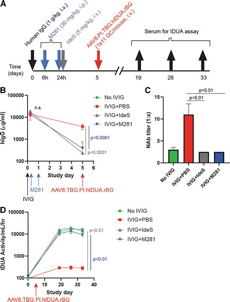 Enabling Adeno Associated Virus Gene Therapy Despite Preexisting