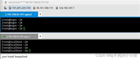 搭建keepalivednginx热备高可用主备双主模式nginx主备模式配置 Csdn博客