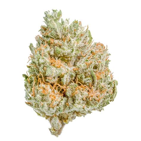 Lemon Haze Susz Konopny CBD 1000g 1kg 12052206319 Oficjalne