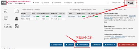 Champ分析tcga结直肠癌甲基化数据实战tagc直肠癌数据说明 Csdn博客