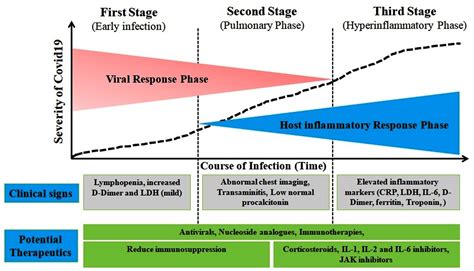 A Comprehensive Mini Review On Covid 19 Pathogenesis On Perspectives Of
