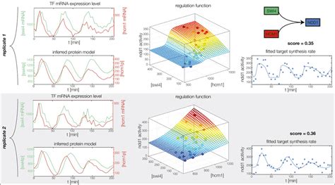 Figures And Data In Inference Of Gene Regulation Functions From Dynamic