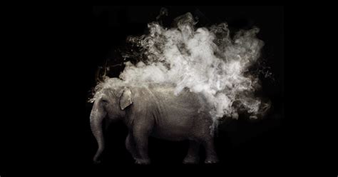 The Elephant In The Room Is Smoking