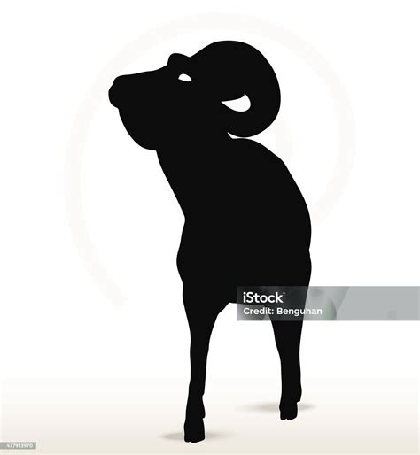 Big Horn Sheep Silhouette In Face Upward Pose Stock Illustration