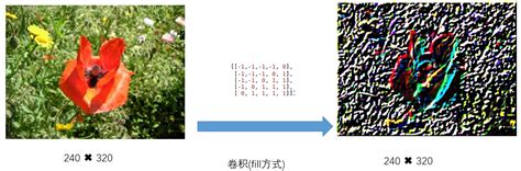 Python Swuxyj