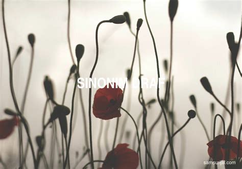 63 Sinonim Draf Tesaurus Bahasa Indonesia