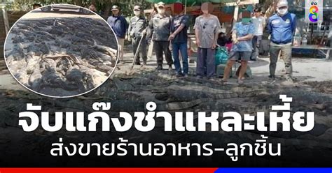 บุกทลายแก๊งลอบชำแหละตัวเงินตัวทองส่งขายทำอาหาร ลูกชิ้น