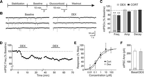 Rapid Glucocorticoid Induction Of A Long Lasting Suppression Of