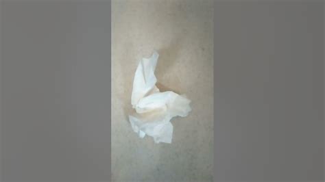 Upload Failed Youtube