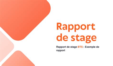 Rapport De Stage BTS Comment Le Faire Exemples