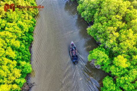Wisata Di Malaysia Yang Harus Dikunjungi