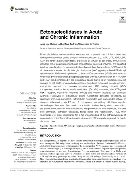 Pdf Ectonucleotidases In Acute And Chronic Inflammation