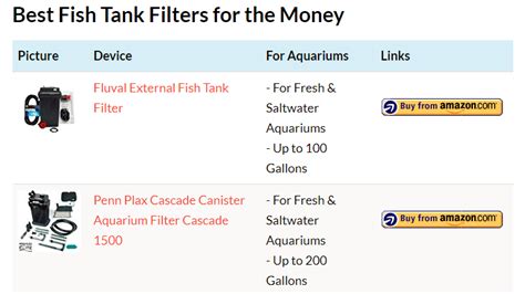 How To Build An Amazon Affiliate Store On Wordpress