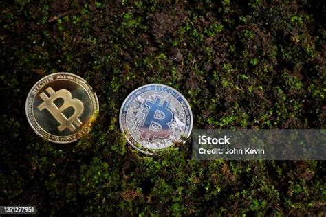 비트 코인과 암호화 암호 화폐 단속 과 가격 충돌 및 Fud 개념 금이 어두운 벽 콘크리트비트 코인 비트코인에 대한 스톡 사진
