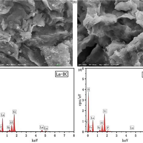 A B Sem Image Of Before And After Adsorption On Phosphate C D