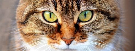 Der Blinde Patient 2 Webseminar Und Handout