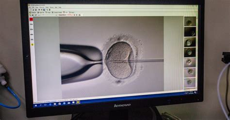 U S Male Fertility Doctor Accused By Woman Of Secretly Using Own Sperm