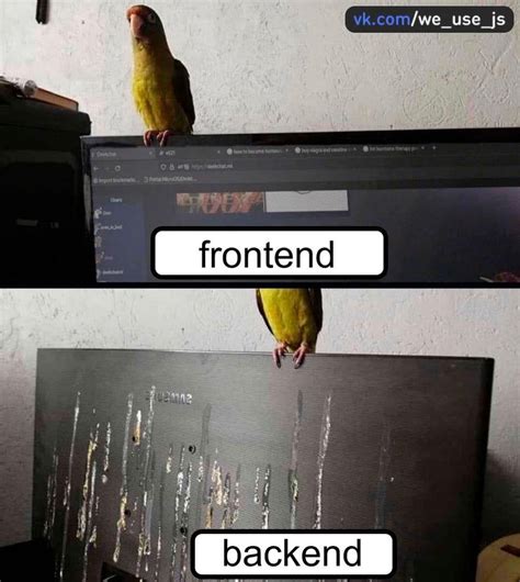 programmingmemes r bored