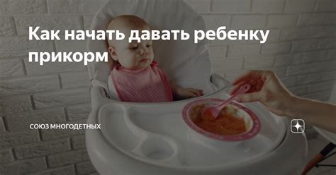 Как начать давать ребенку прикорм Союз Многодетных Дзен