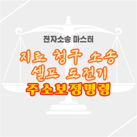 지료청구소송 주소보정명령등본 송달 받다feat초본발급 네이버 블로그