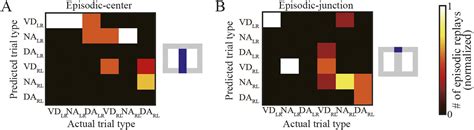Figures And Data In Episodic Like Memory Trace In Awake Replay Of