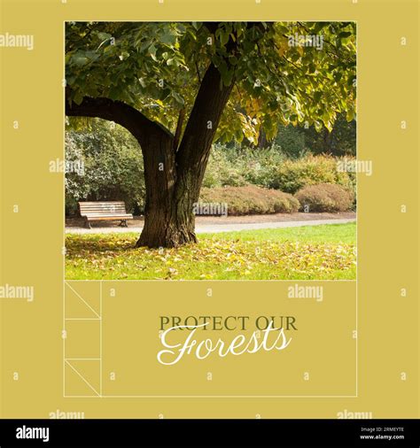 Composite Of Protect Our Forests Text And Tranquil View Of Trees