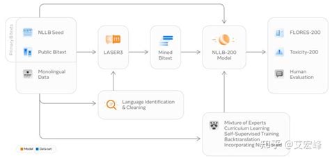 机器翻译Meta机器翻译力作NLLB 知乎