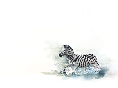 Portfolio Artwork Sue Dickinson Artist