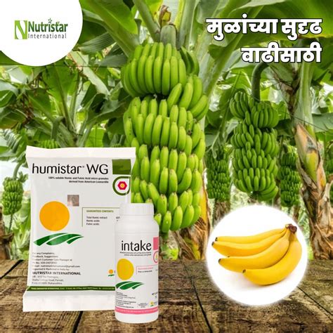 Dhanashree Crop Solutions Pvt Ltd On Linkedin Dhanashree