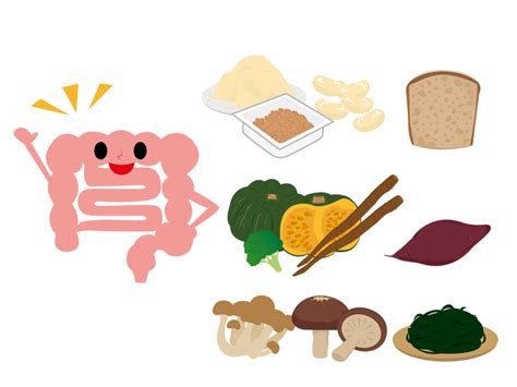 栄養のキホン！？ 「水溶性・不溶性食物繊維」その違いと取り方のコツ 英（はなぶさ）ウィメンズクリニックのハナブロ