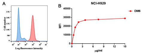 Anti Bcma Antibodydm6 Rabbit Mab Dima Biotechnology