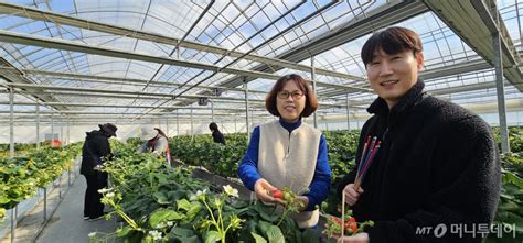 새콤달콤 딸기 독립k 베리 베리 굿