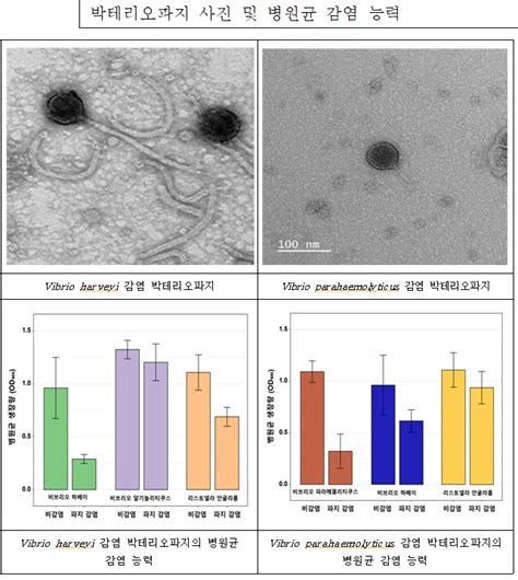 호남권생물자원관 어류 질병 치료 친환경 기술 개발 브릿지경제
