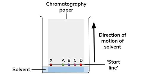Paper Chromatography Definition Types Principle Steps Uses Paper Chromatography Buffer