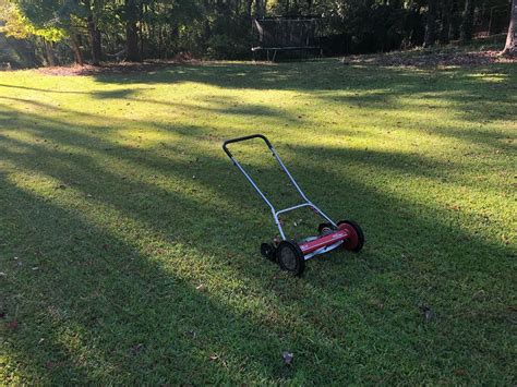Centipede Central Lawn Care Centipedegrass Lawncare Instagram