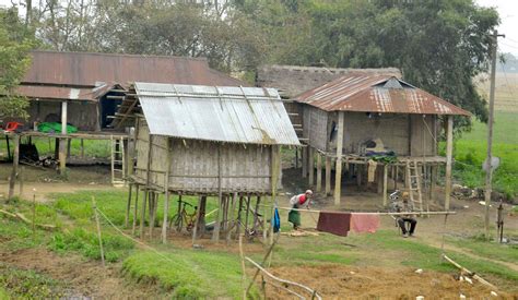 Indias Mising Tribe Lives In Traditional Flood Resilient Homes To