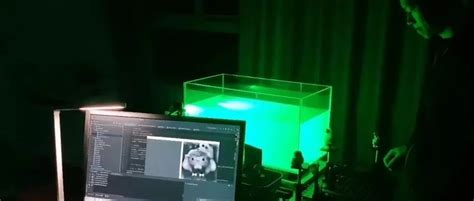 Light 人工智能“引领”透过散射介质成像 Book学术