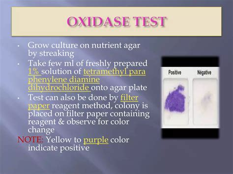 Biochemical Tests Ppt