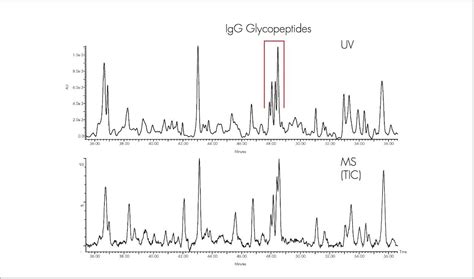 Uplc Technology For The Analysis Of Antibody Glycopeptides Waters